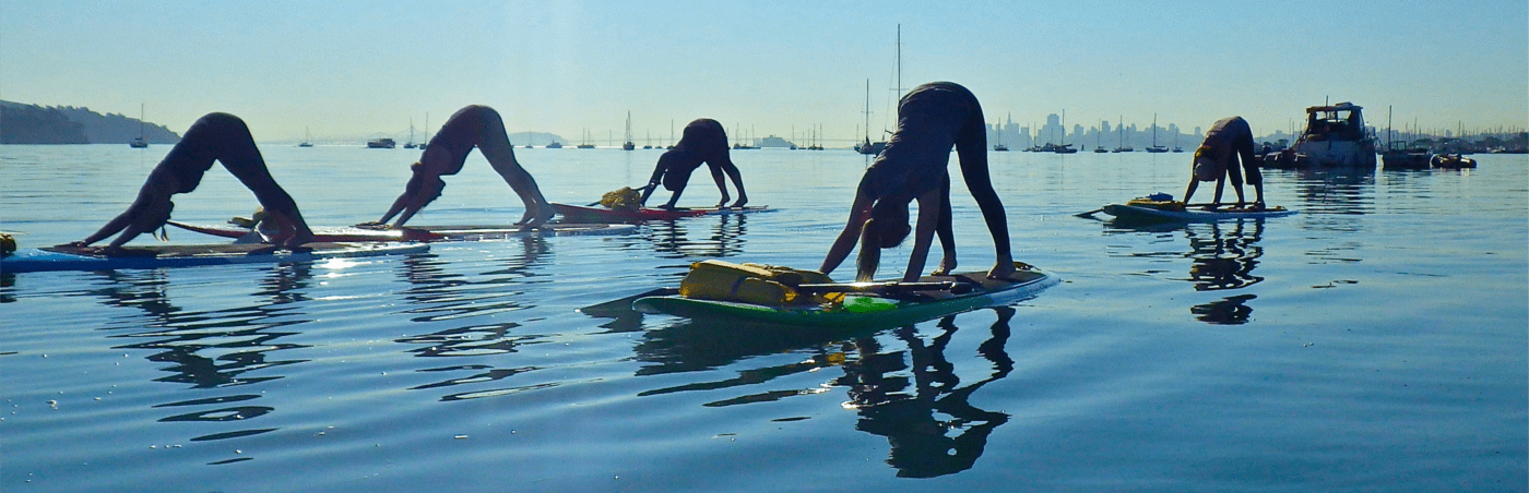 Paddle Board Workout – A Perfect Combination of Exercise and Fun ...